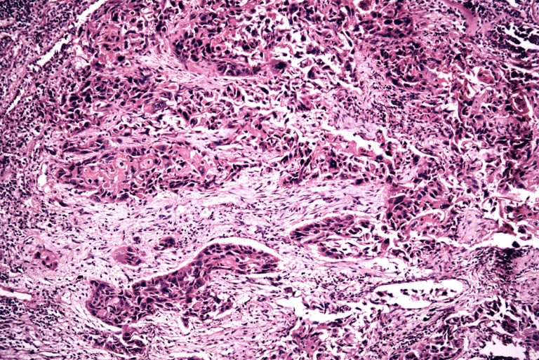 Biological Stains